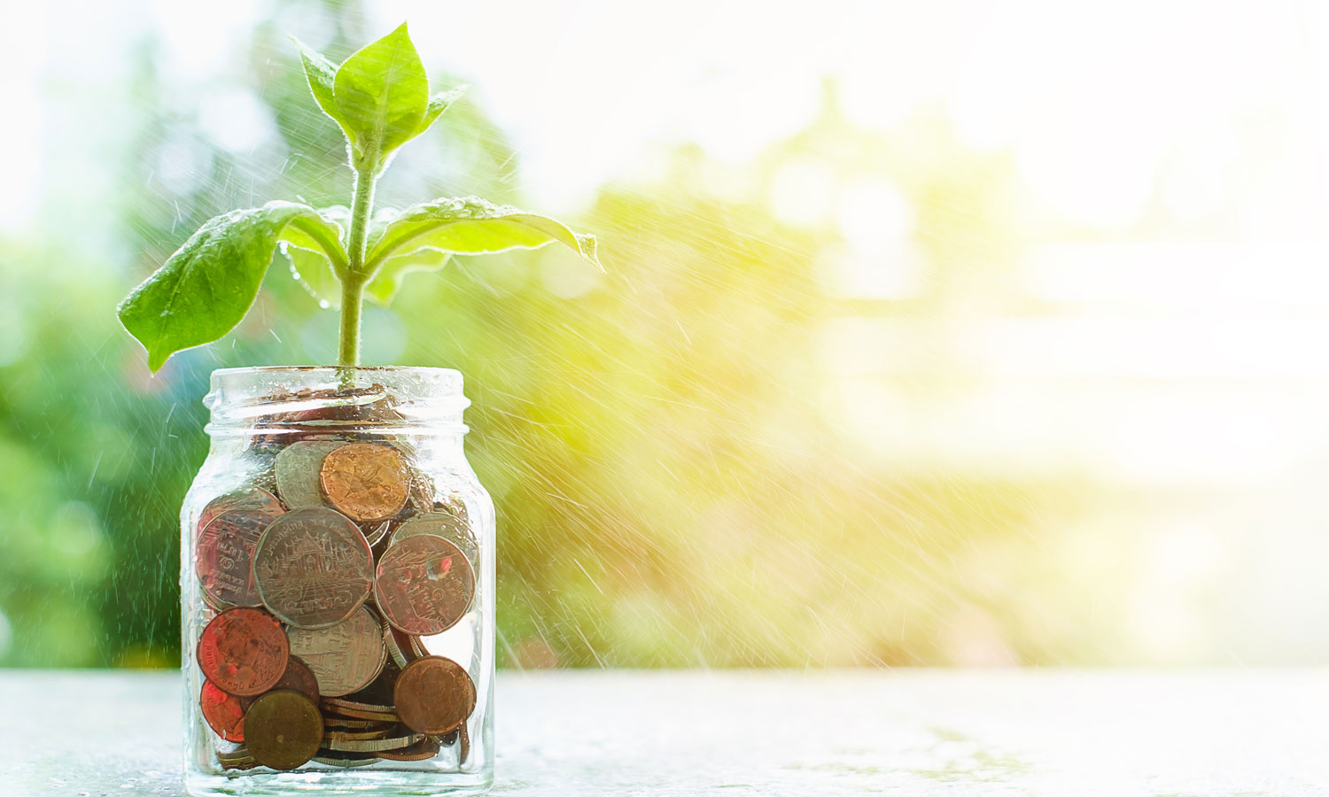 Green Loans Clear Contractual Rules For Sustainable Environmental 